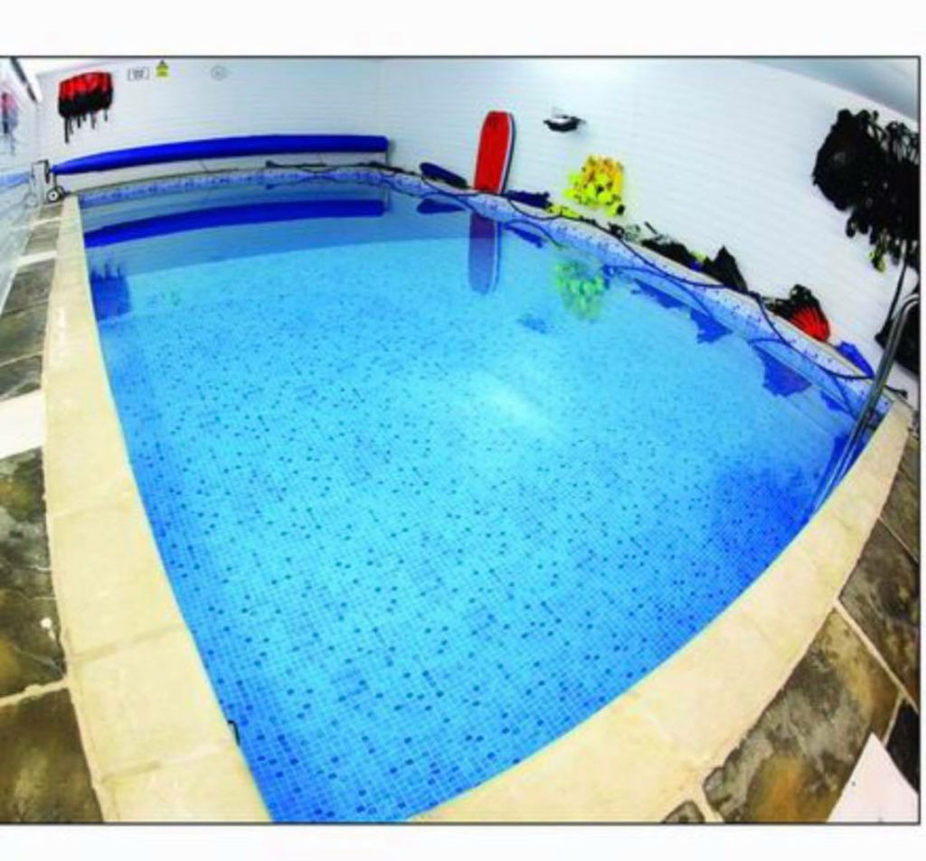 Shipley – Duck and Dive