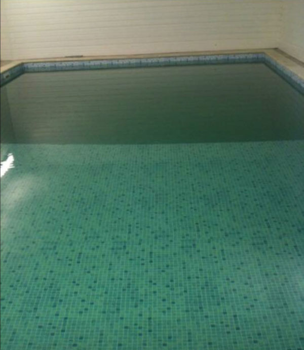 Shipley – Duck and Dive