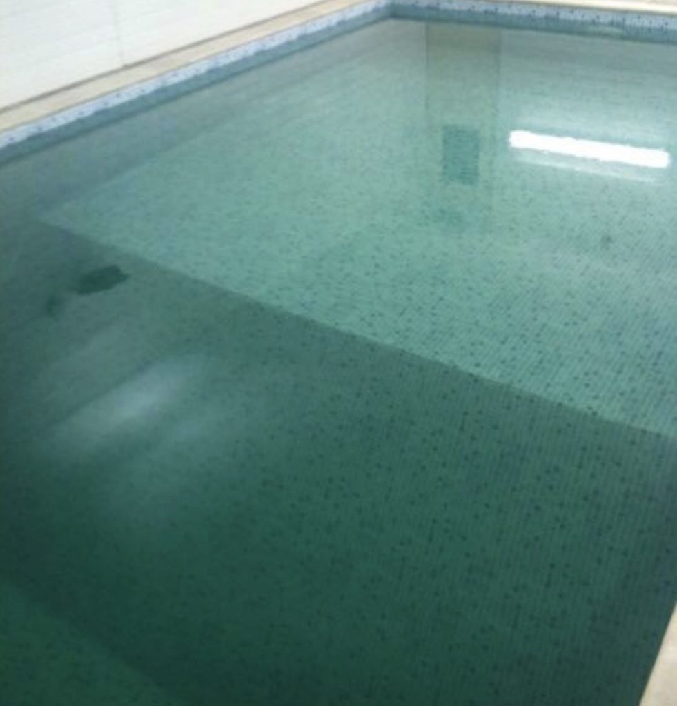 Shipley – Duck and Dive